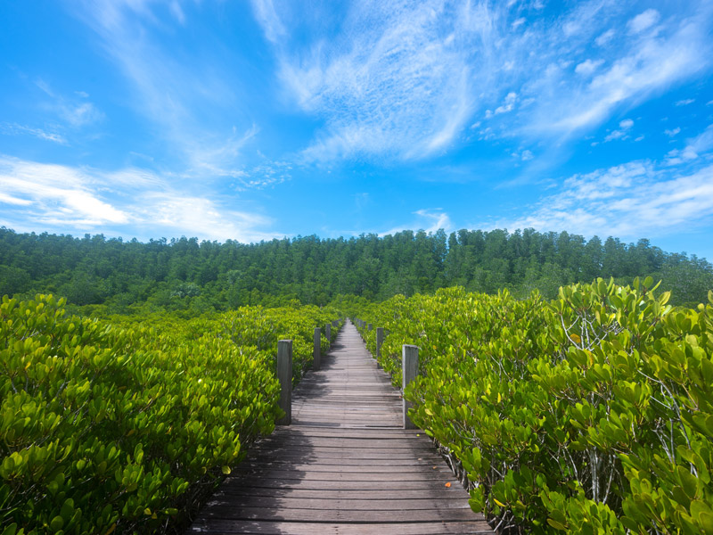 Life on Two Wheels! เปิดเส้นทางชิลล์ๆ ขี่มอเตอร์ไซค์เที่ยวระยองแบบมี ...